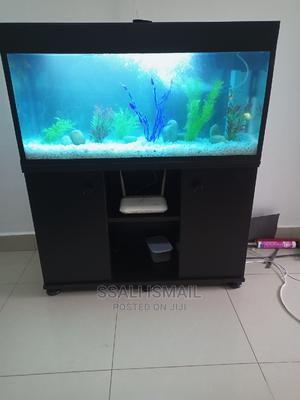 An Aquarium Made by Professionals in Kampala - Fish, Aqua Uganda | Jiji.ug